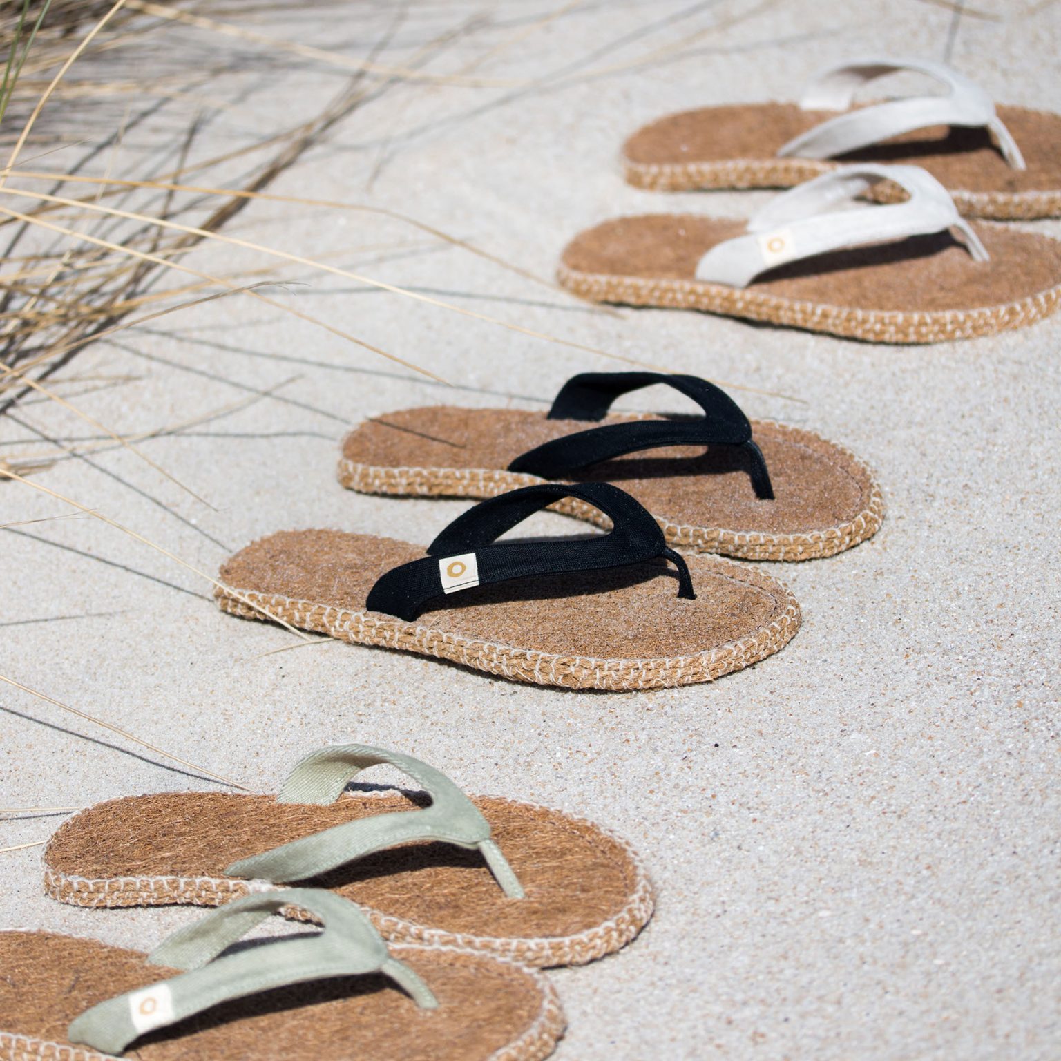 Cocolette - Werner 1911